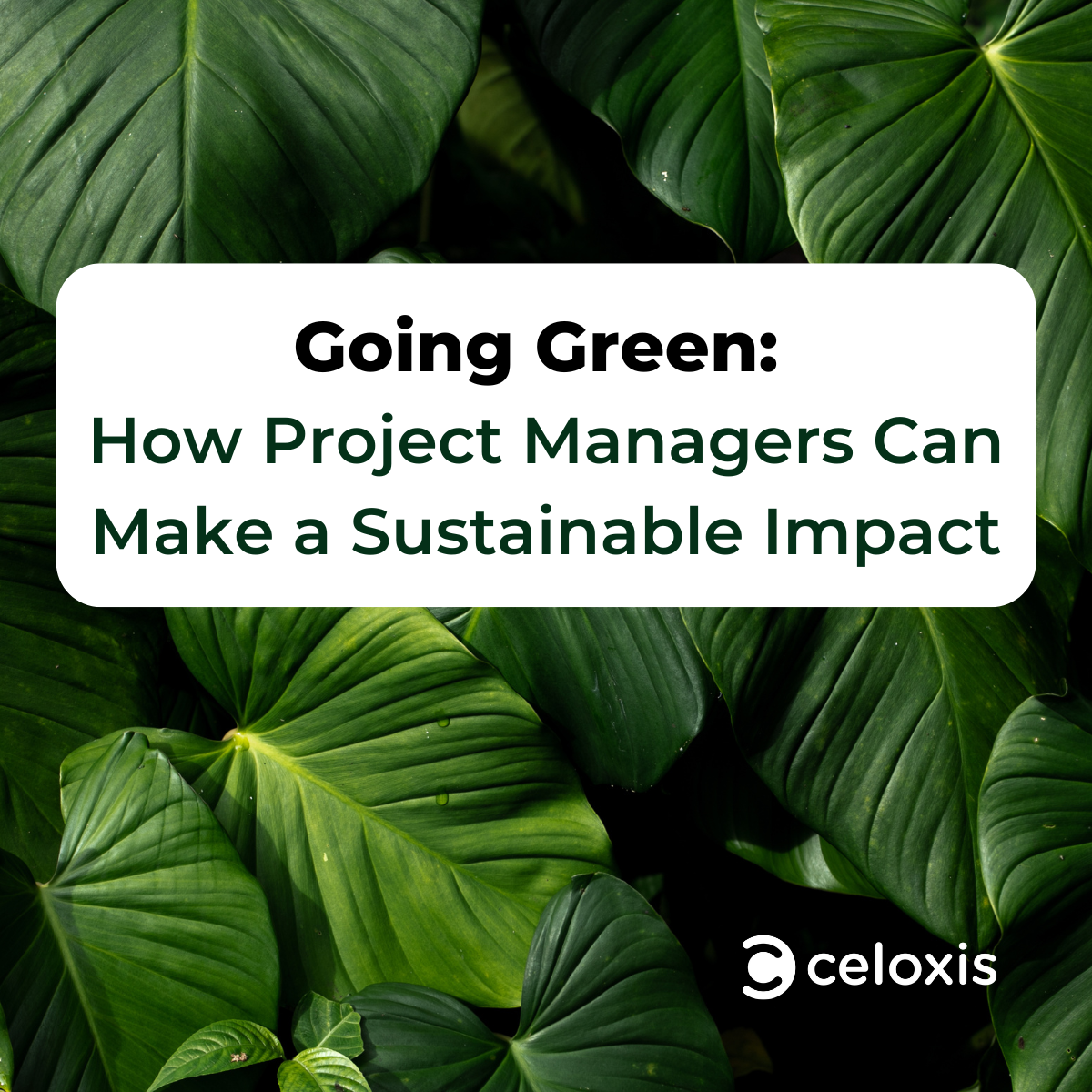 Going Green: How Project Managers Can Make a Sustainable Impact - Celoxis®